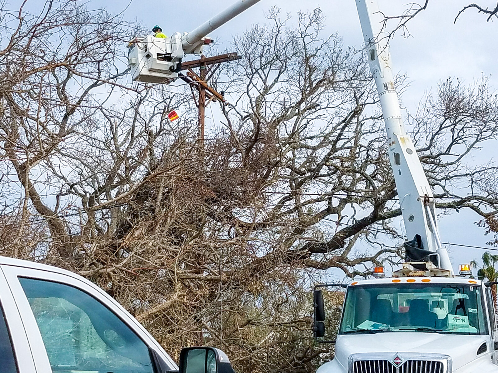 Emergency Restoration | Safety | Restore Powerlines